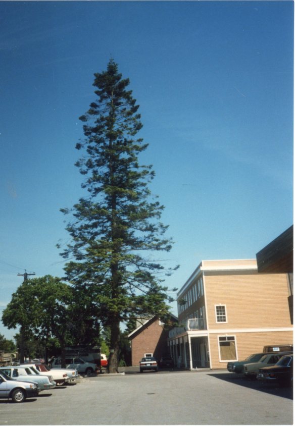 Outside the Box – The Richmond Archives Blog | Presented by the Friends ...